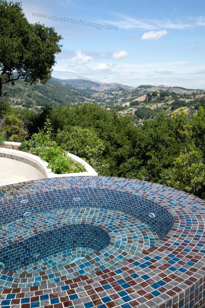 Silicon Valley Vanishing Edge Spa | Aquatic Technology Pool & Spa ...